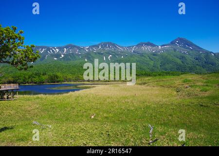 June Lake Mountain Deer Landscape | Mono County | Eastern High Sierras ...