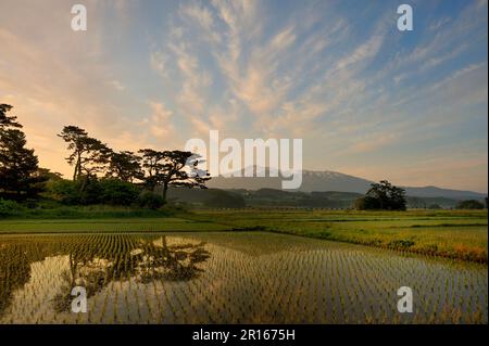 Mount Chokai and Kujuku Islands Stock Photo - Alamy
