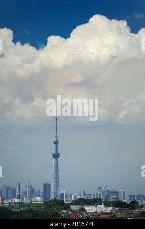 Thunderhead and Tokyo Sky Tree Stock Photo - Alamy