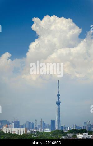 Thunderhead and Tokyo Sky Tree Stock Photo - Alamy