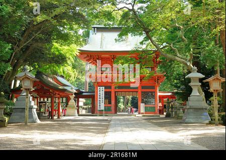 Kashima Jingu Shrine Stock Photo - Alamy