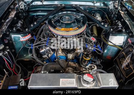 Ford Mustang 5.0 litre engine Stock Photo - Alamy