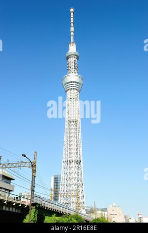 Tokyo Sky Tree from forest bridge Stock Photo - Alamy
