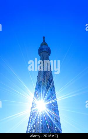 Glow of the sun and Tokyo Sky Tree Stock Photo - Alamy