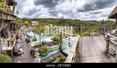 Jungle pool and bar overlooking rice terraces in Ubud, Bali, Indonesia ...