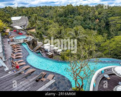 Jungle pool and bar overlooking rice terraces in Ubud, Bali, Indonesia ...