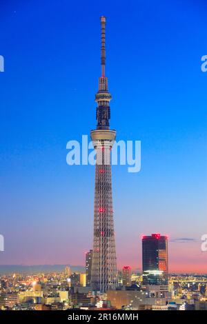 Tokyo Sky Tree in early morning Stock Photo - Alamy