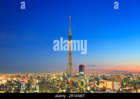 Tokyo Sky Tree in early morning Stock Photo - Alamy