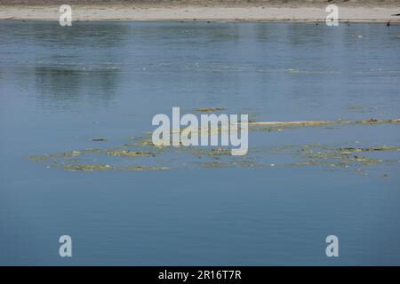 The Po, Italian: Latin: Padus or Ēridanus; Ancient Ligurian: Bodincus ...