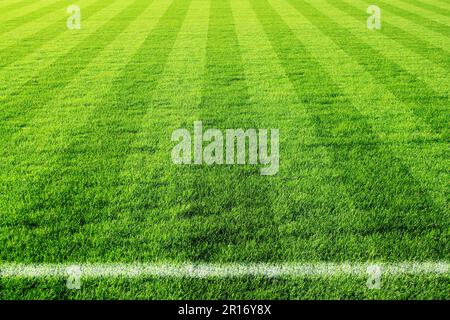 Marking of football field. White stripe on green grass. Sports stadium ...
