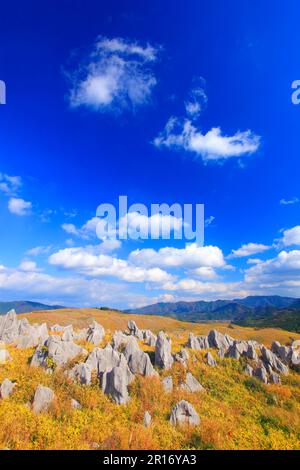 Mount Odake , limestone of Karst plateau and grass foliage Stock Photo ...