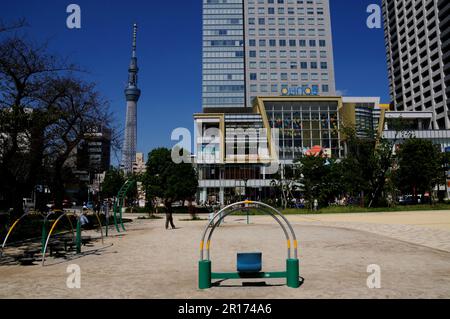 The Kinshi Park and the Tokyo sky tree Stock Photo - Alamy