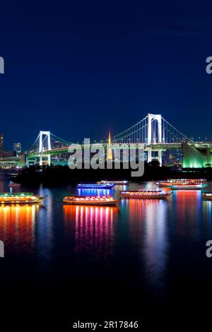 Night view of Odaiba Seaside Park and Rainbow Bridge in Tokyo, Japan ...