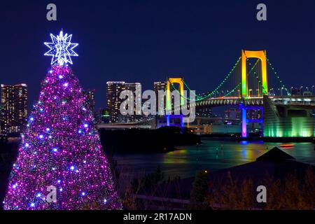 Lighted up Rainbow Bridge and Christmas tree Stock Photo - Alamy