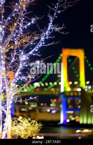 Lit up Rainbow Bridge and illuminations Stock Photo - Alamy