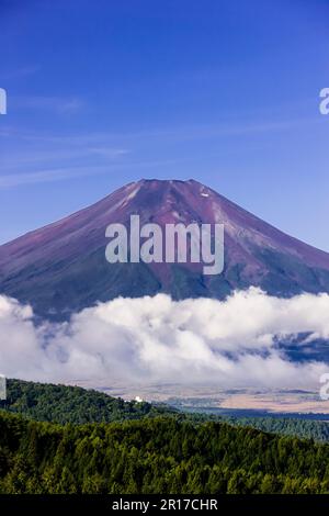 Fuji in summer in Yamanashi Prefecture from Oshino Village Stock Photo ...