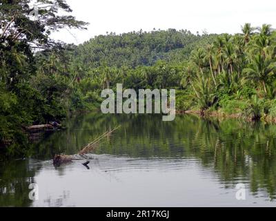 The Philippines, Samar Island: typical scenery on the Oquendo River in ...