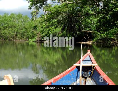 The Philippines, Samar Island: typical scenery on the Oquendo River in ...