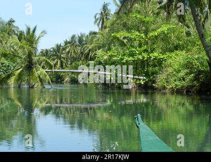 The Philippines, Samar Island, Calbayog: luxuriant tropical forest and ...