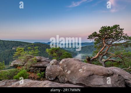 Sunrise above Dahn Rockland seen from Rock Sprinzelfelsen, Dahner ...