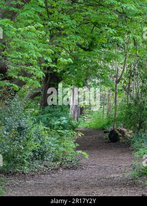 Riperian day hike pathway along the Wandle River in Morden Hall Park ...