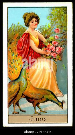 Vintage Cigarette Card Stock Photo - Alamy