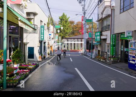 Keio Inogashira line Inokashira-Koen station Stock Photo - Alamy