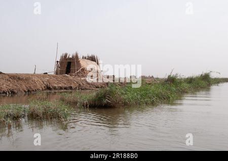 Traditional Marsh Arab buildings, constructed using reeds, Southern ...
