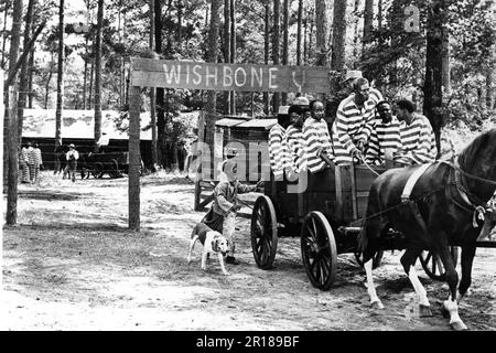 SOUNDER, Taj Mahal, 1972 Stock Photo - Alamy