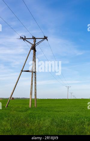 A photo shows power transmission lines in the morning sun in Beijing ...