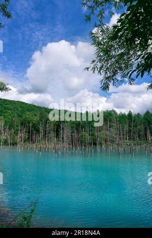 Biei platinum blue pond with beautiful emerald green Stock Photo - Alamy