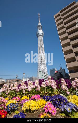 Tokyo Skytree, Oshiage, Tokyo, Japan Stock Photo - Alamy