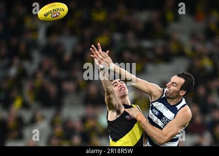 Samson Ryan of Richmond during the AFL Round 9 match between the ...