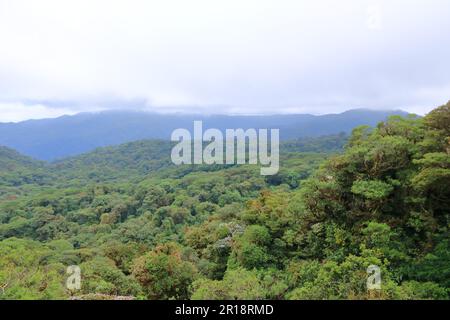 aerial photo of monteverde national park in costa rica, famous cloud ...