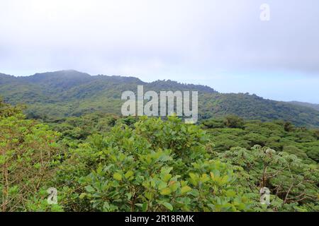 aerial photo of monteverde national park in costa rica, famous cloud ...