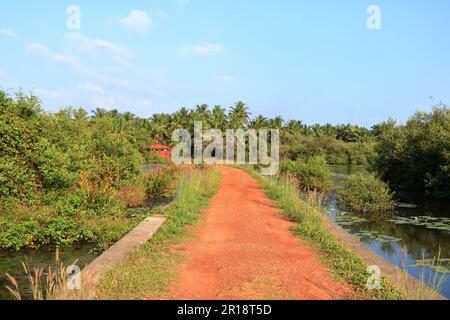 Backwater View near the Pazhayangadi Bridge in Kannur District in ...