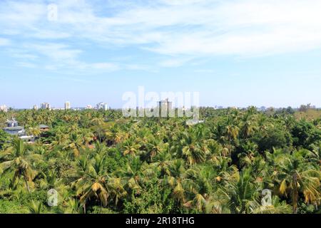 Aerial view of Kannur City beautiful Kerala nature scenery Coconut ...