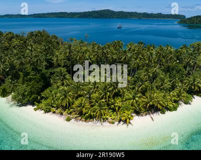 Palm trees grow along a scenic, tropical beach off the coast of West ...