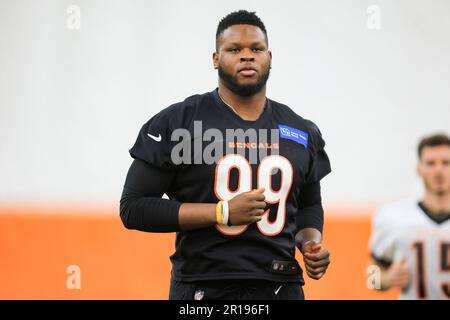 Cincinnati Bengals' Myles Murphy takes part in a drill during a ...