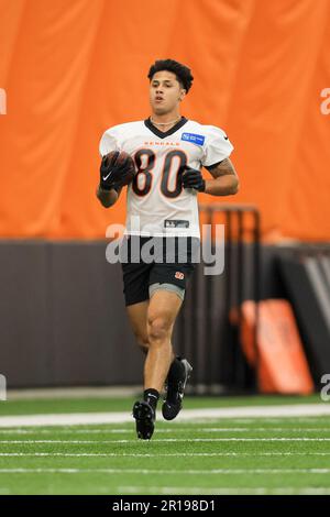 Cincinnati Bengals' Andrei Iosivas carries the ball as he takes part in ...