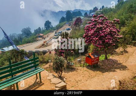 Sikkim, India - 21st March 2004 : Entry point of Varsey Rhododendron ...