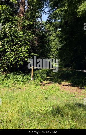 Wooden bar at the entrance of a grassy and shady path in a forest on a ...