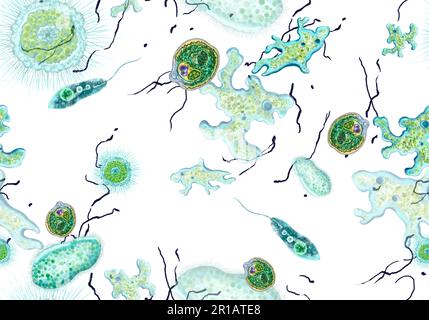 Bacteria, unicellular protozoa, algae. Seamless pattern for printing in ...