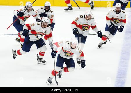 Florida Panthers forward Nick Cousins, left, works for the puck in ...