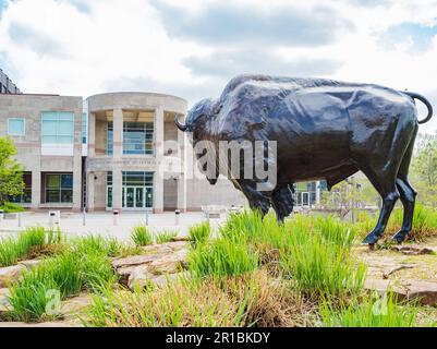 Oklahoma, APR 18 2023 - Bison sculpture of the Sam Noble Oklahoma ...