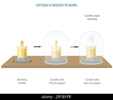 Oxygen, fire and combustion. Vacuum candle burning experiment. Science experiment with vacuum ...