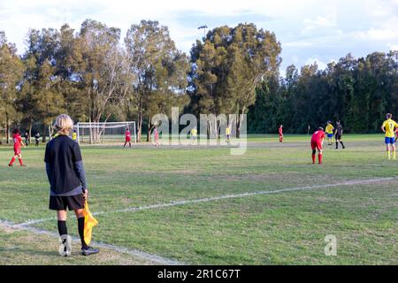 Grassroots football, young male linesman or referees assistant running ...