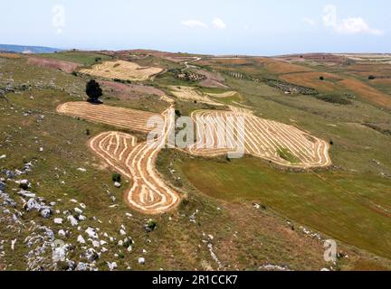 Farm land near Fasli abandoned Turkish Cypriot village on the Akamas ...