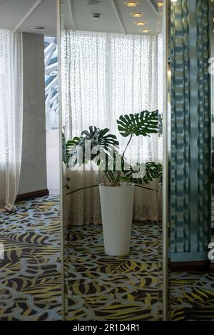 outdoor white ceramic vase as decoration with blue violets of different ...