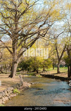 Nakajima Park in Sapporo, Hokkaido, Japan Stock Photo - Alamy